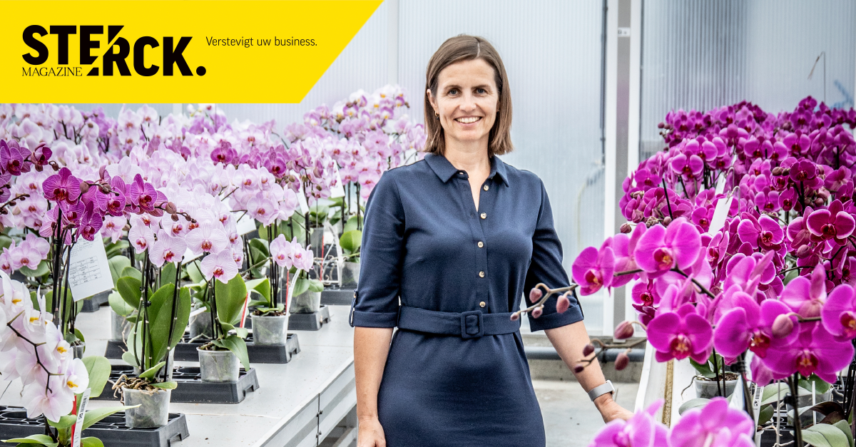 Microflor | Florerende business - Sterck Magazine