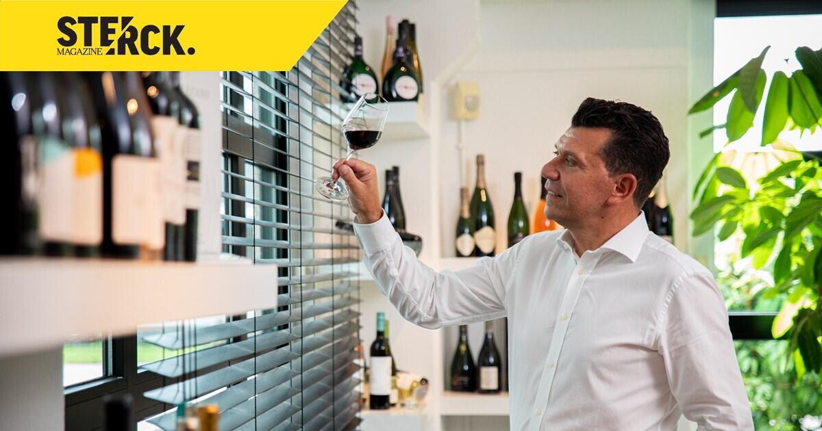 Despert & Co | Despert & co innoveert in traditionele wijnwereld ...