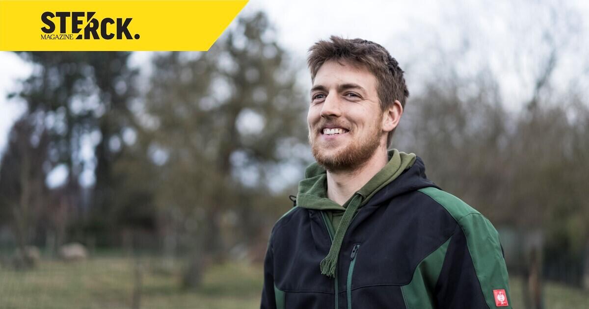 Segco Works | Dé specialist in boomverzorging en tuinaanleg - Sterck ...